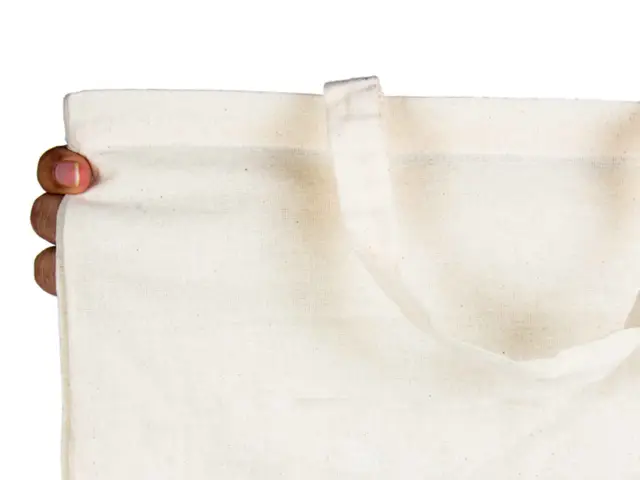 Double Side Printed Cotton Carry Bags (Different Designs) - Order ...