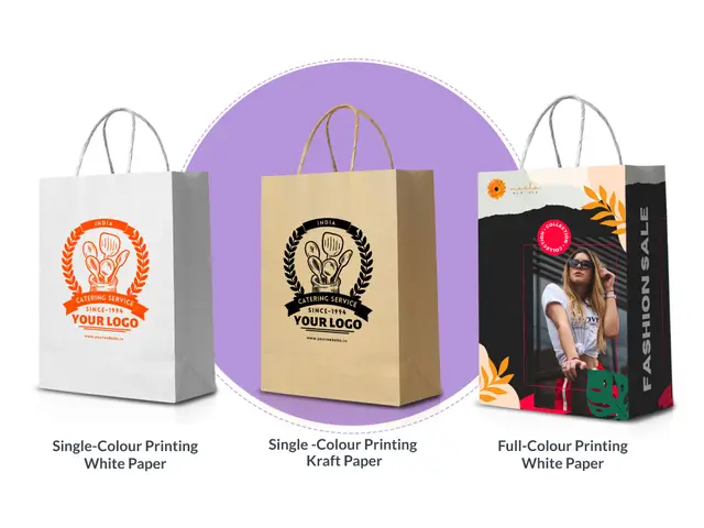 Gift Colour Paper Bags - Shop For Decorative Paper Bags Online - Printo.in