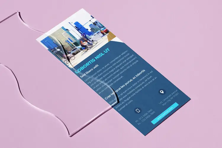 DL Flyers Printing - Order Custom Flyers For Business Promotion Online ...