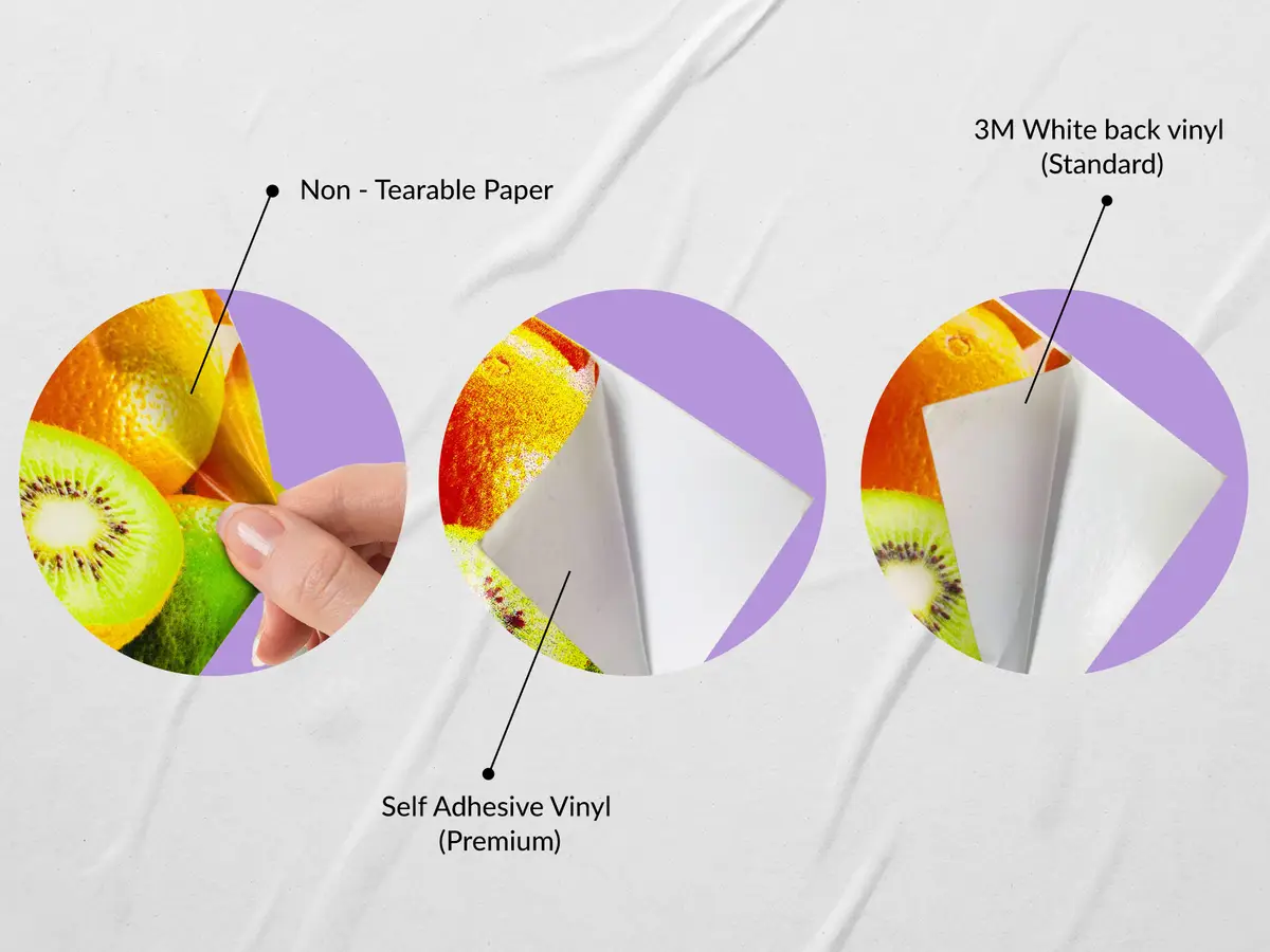 Large Format Posters - Custom Print Large Posters Online - Printo.in