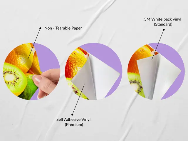 Large Format Posters - Custom Print Large Posters Online - Printo.in