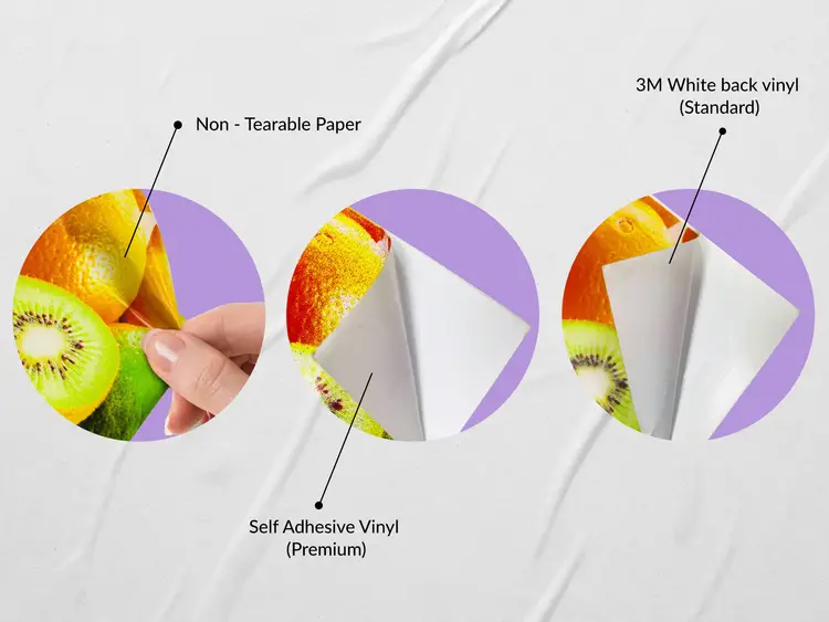 Large Format Posters - Custom Print Large Posters Online - Printo.in