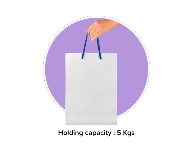 Custom Premium Paper Bags Printing OnlIne | Printo