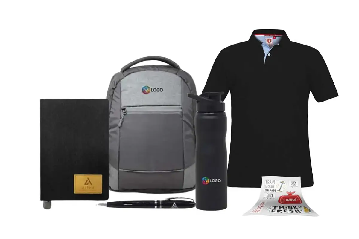 Executive Employee Gift Kits | Printo.in